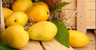 The Legend of Mangoes - THE LEGENDS AND FOLKTALES