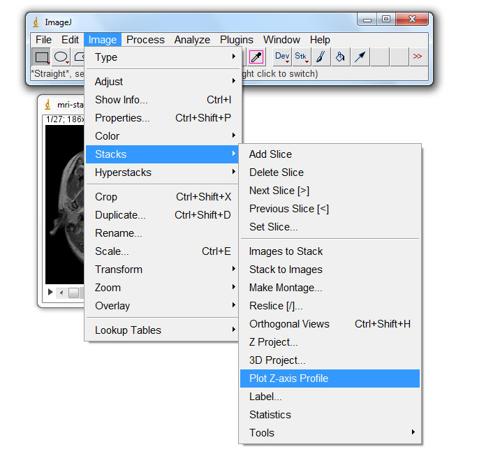 My imageJ: เมนู Image with ImageJ [ตอนที่ 31] Stacks, การแสดงกราฟ mean ...
