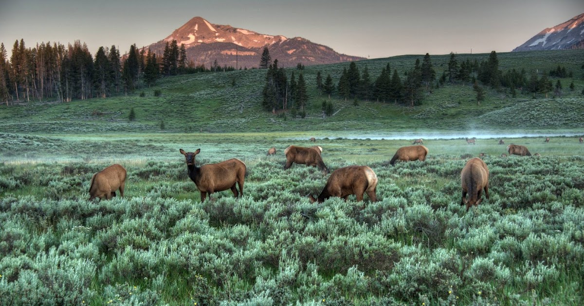 Joseph William Hahs: World's Most Beautiful National Parks That Must ...