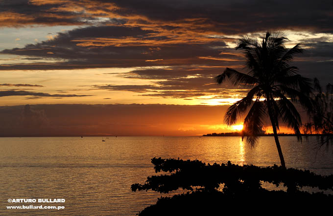 Llegando a la Isla de Zanzíbar, Un Paraíso en el Mar Indico : Viajes ...