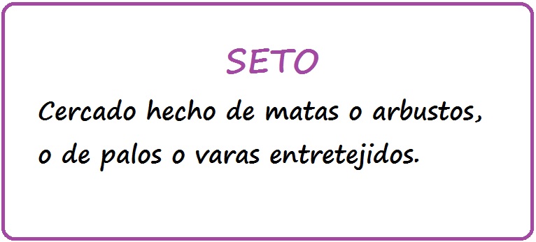 Paisaje vegetal: Sobre Setos, parte I