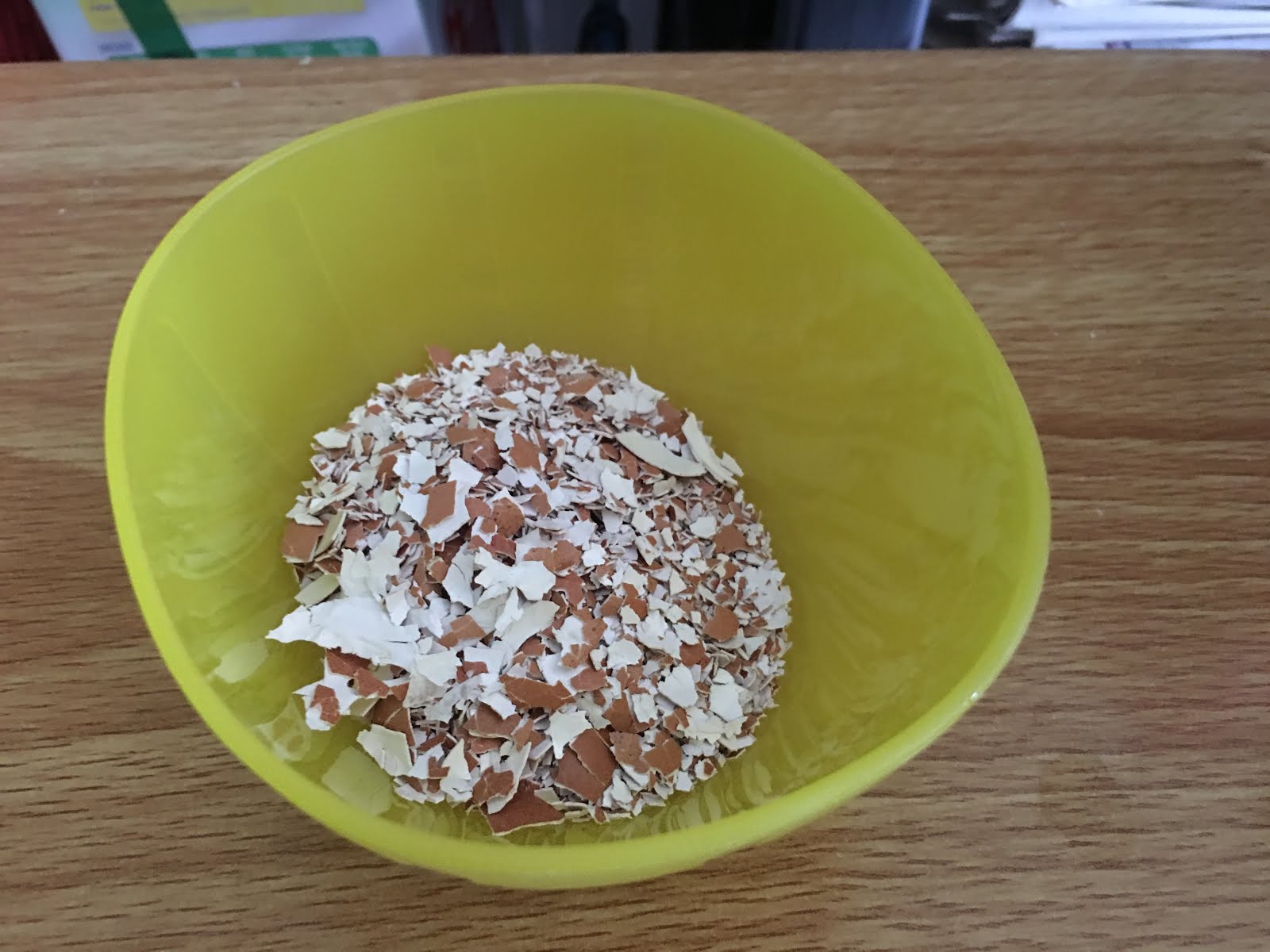 The Lazy Cook: Egg Shell Fertilizer