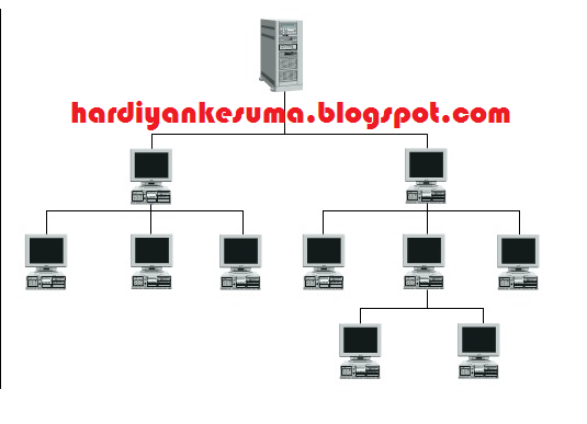 Macam-macam/Jenis Topologi di Dalam Jaringan Komputer | Vivi Firda