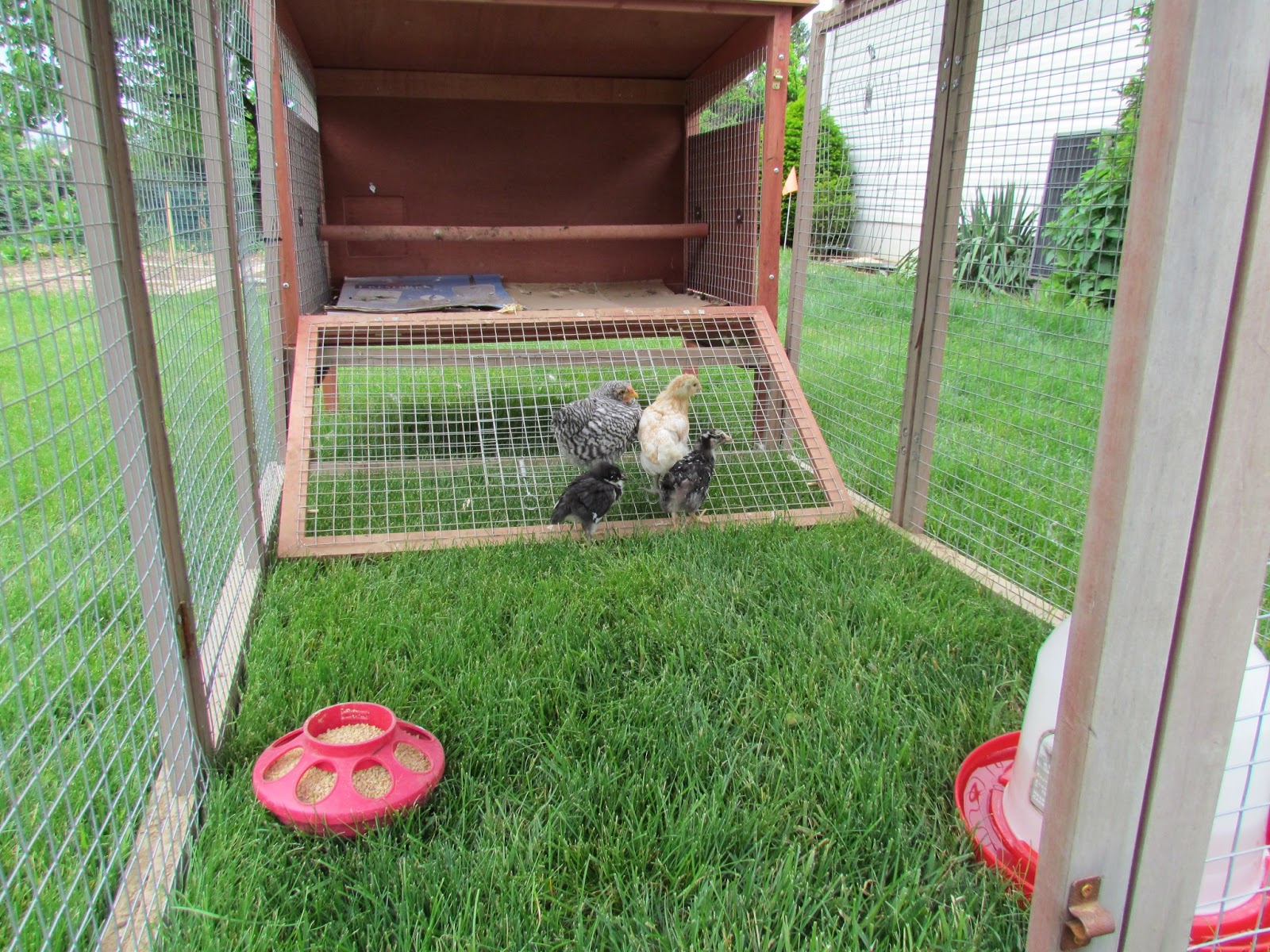 The Adams' Family Farm