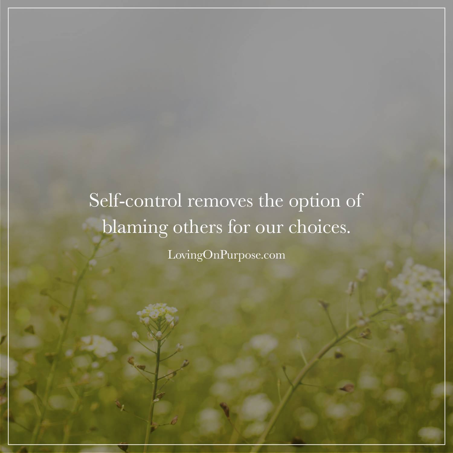 Reflexiones: quite simple...