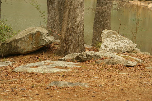 Pine Lake: The Blog: Pine Lake Masonry: Part I