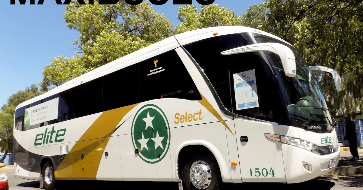 MAXIBUSES: ELITE SELECT