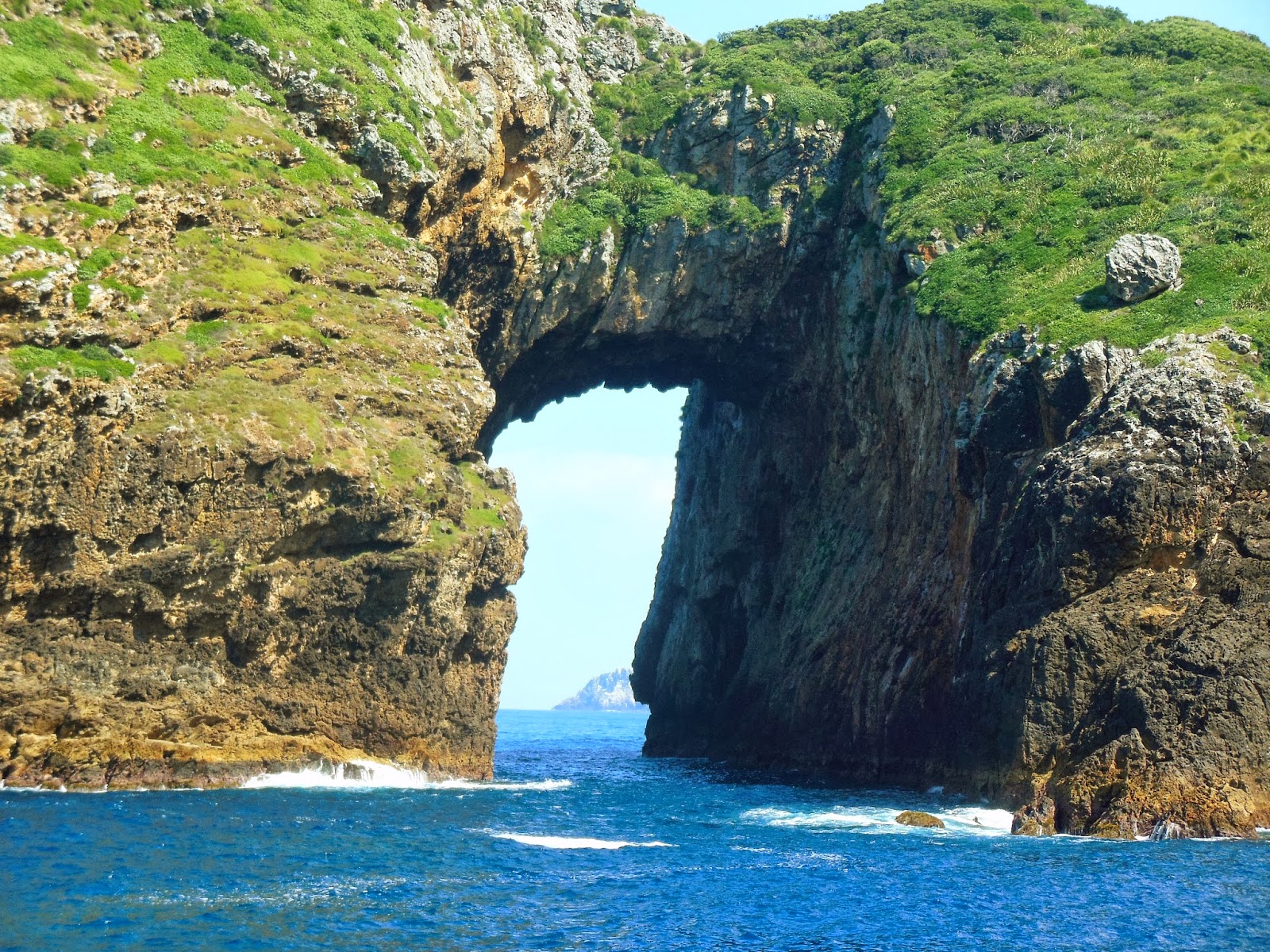 l'avventura grande: Poor Knights Island