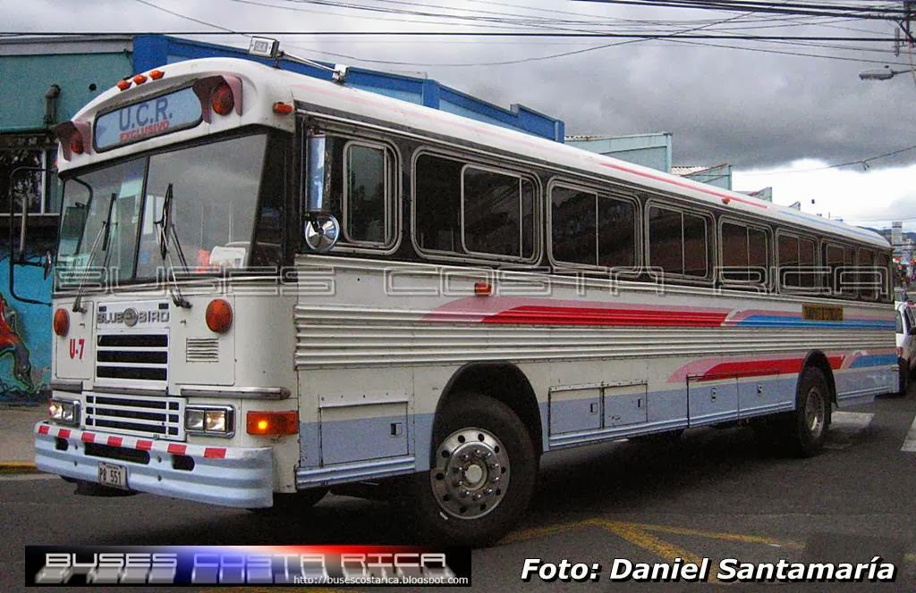 Buses Costa Rica: Galería 39-2013