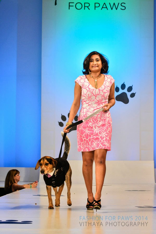 VITHAYA PHOTOGRAPHY: Fashion for Paws 2014