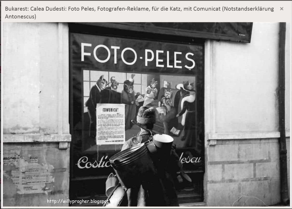 Willy Pragher: Ianuarie 1941: Bucureștiul după rebeliunea legionară