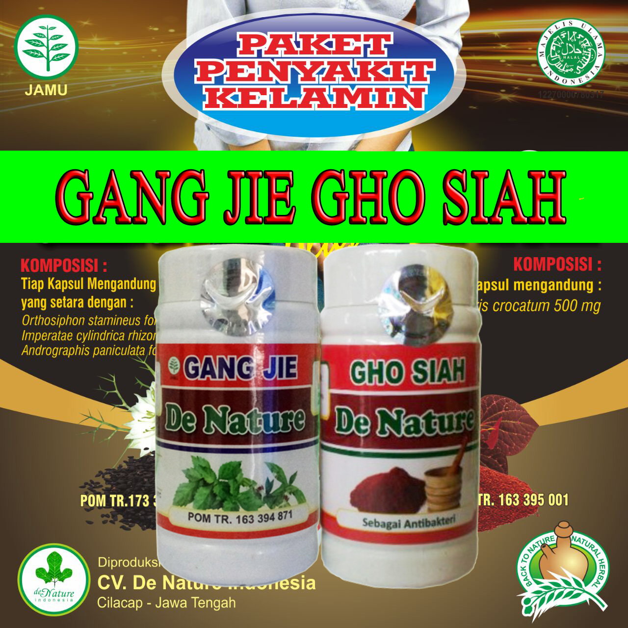 Pengertian Penyakit Sifilis Raja Singa:Pengobatan Alternatif Sipilis