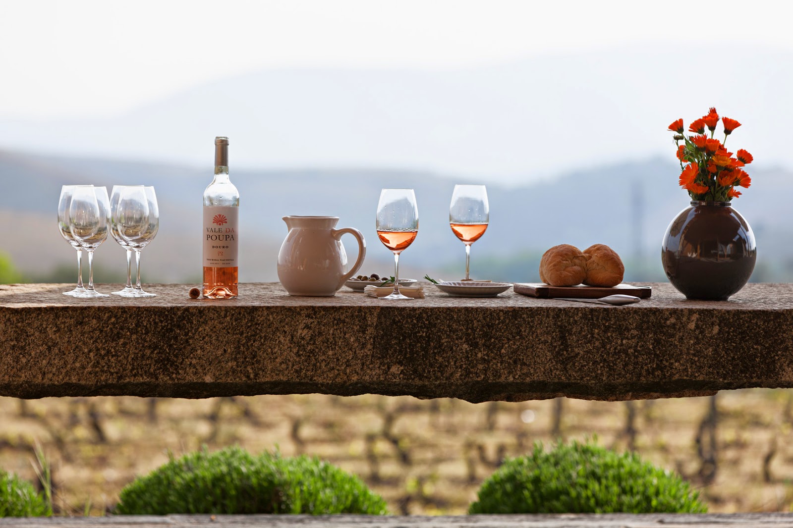 SECRET SPOT WINES COM ADEGA PREMIADA