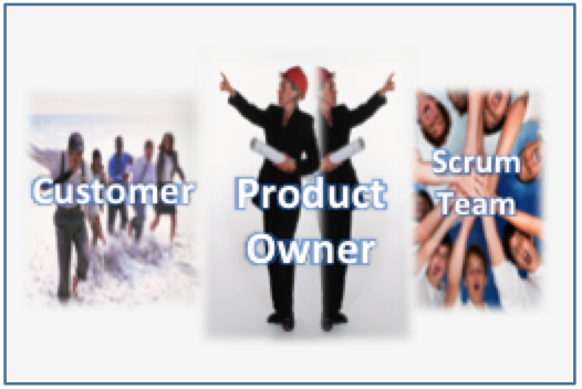Agile Adoption Roadmap: Who makes the Best Product Owner?