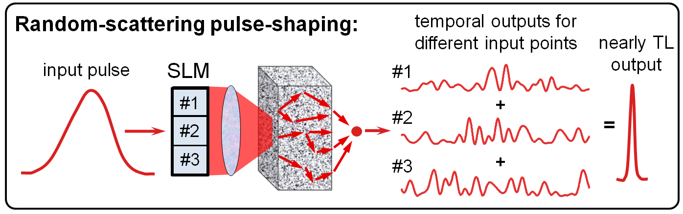 2Physics: Focusing Ultrashort Optical Pulses through Scattering Media