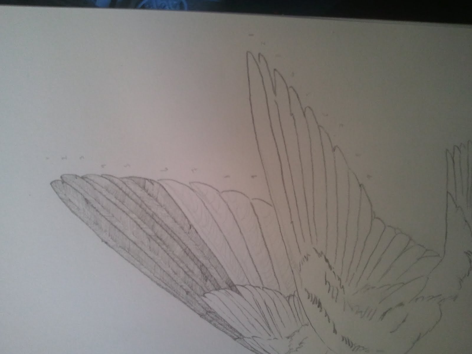 Ben Rothery Illustrator