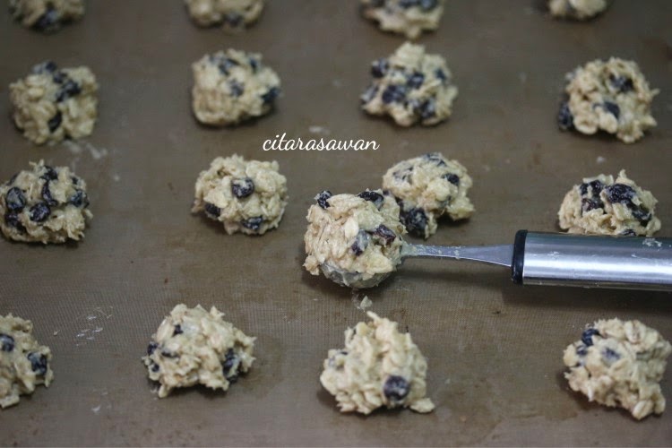 Biskut Oat Blackcurrant / Oatmeal Blackcurrant Cookies ~ Resepi Terbaik