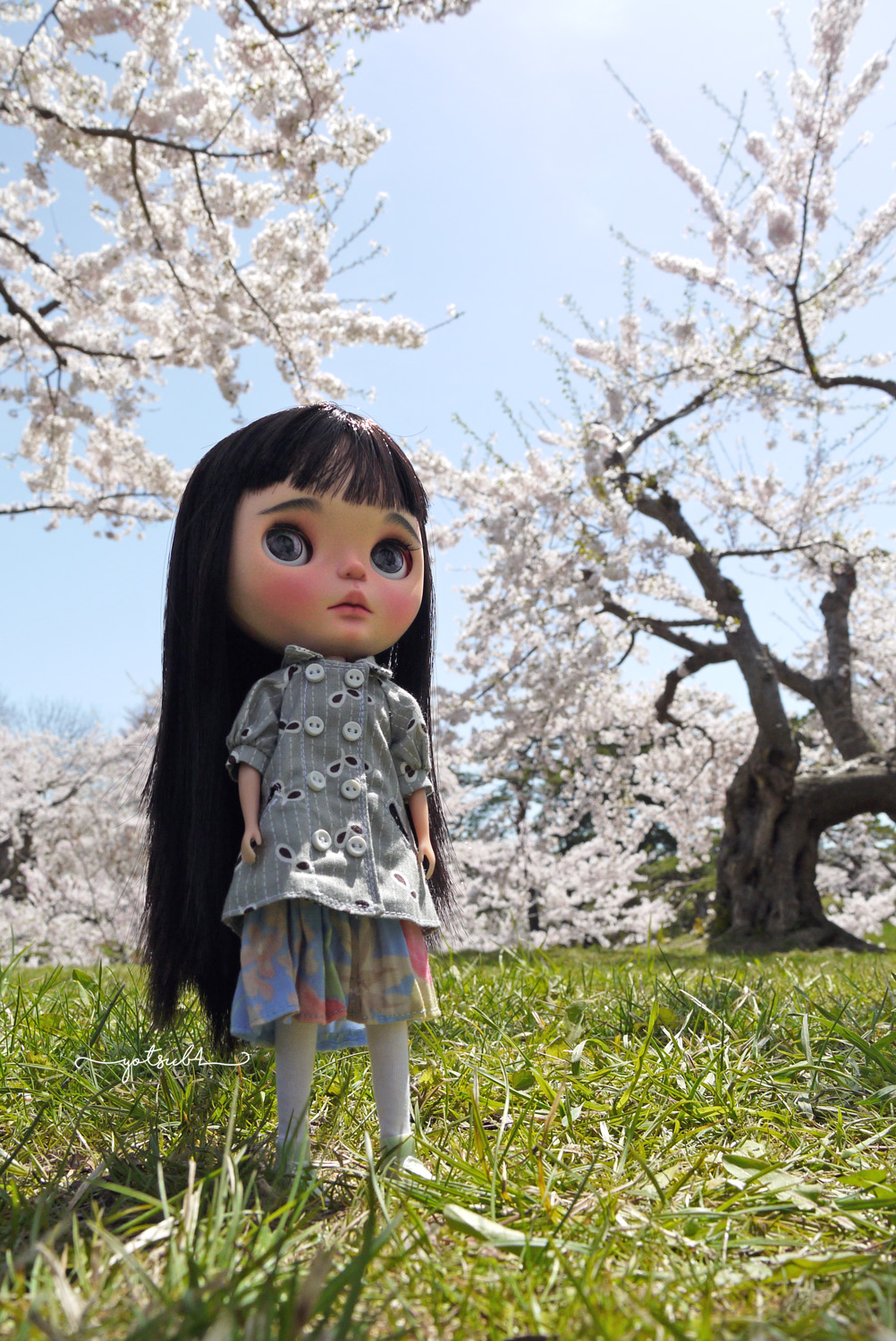 Japan with Cleo #6/10 - Hakodate: Seafood, Melons, Sakura, a Fort