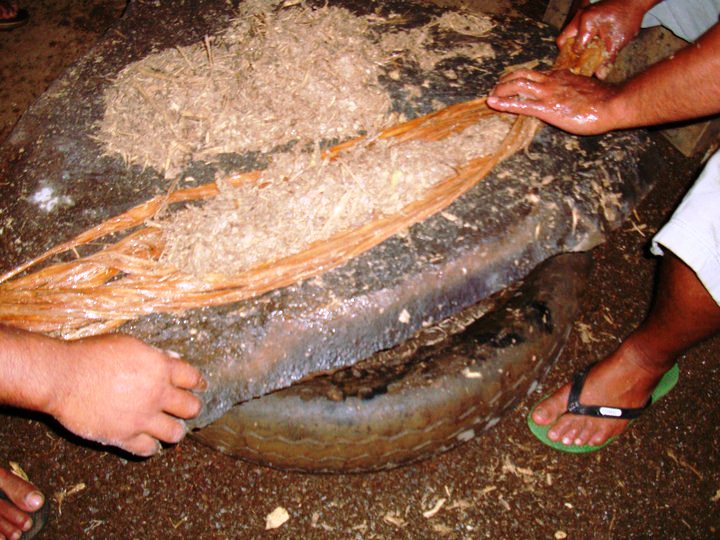 The Freckled Sister: K is for... Kava, The Drink of the Pacific