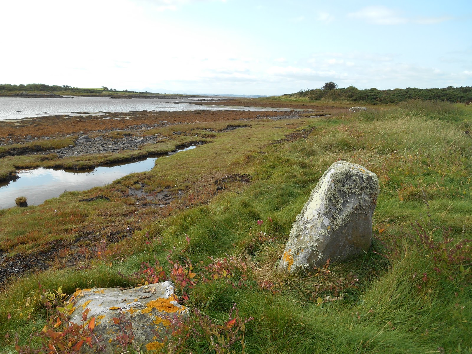 A lifetime of Islands: Island 287 - Horse Island, Strangford Lough ...