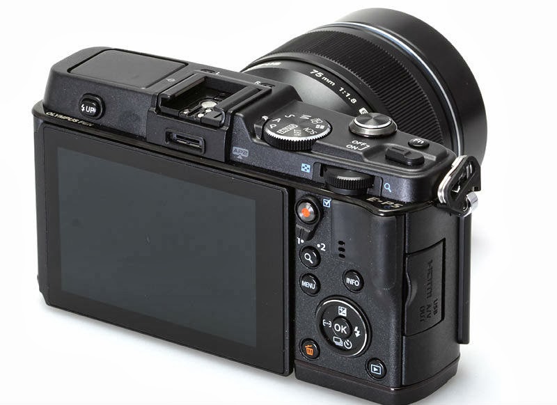Olympus PEN E-P5 Camera Review ~ Fun and Info