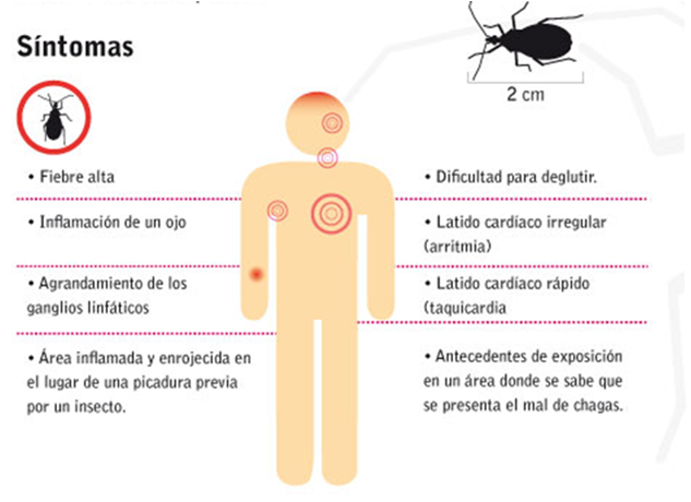 Prevencion de Enfermedades: Chagas