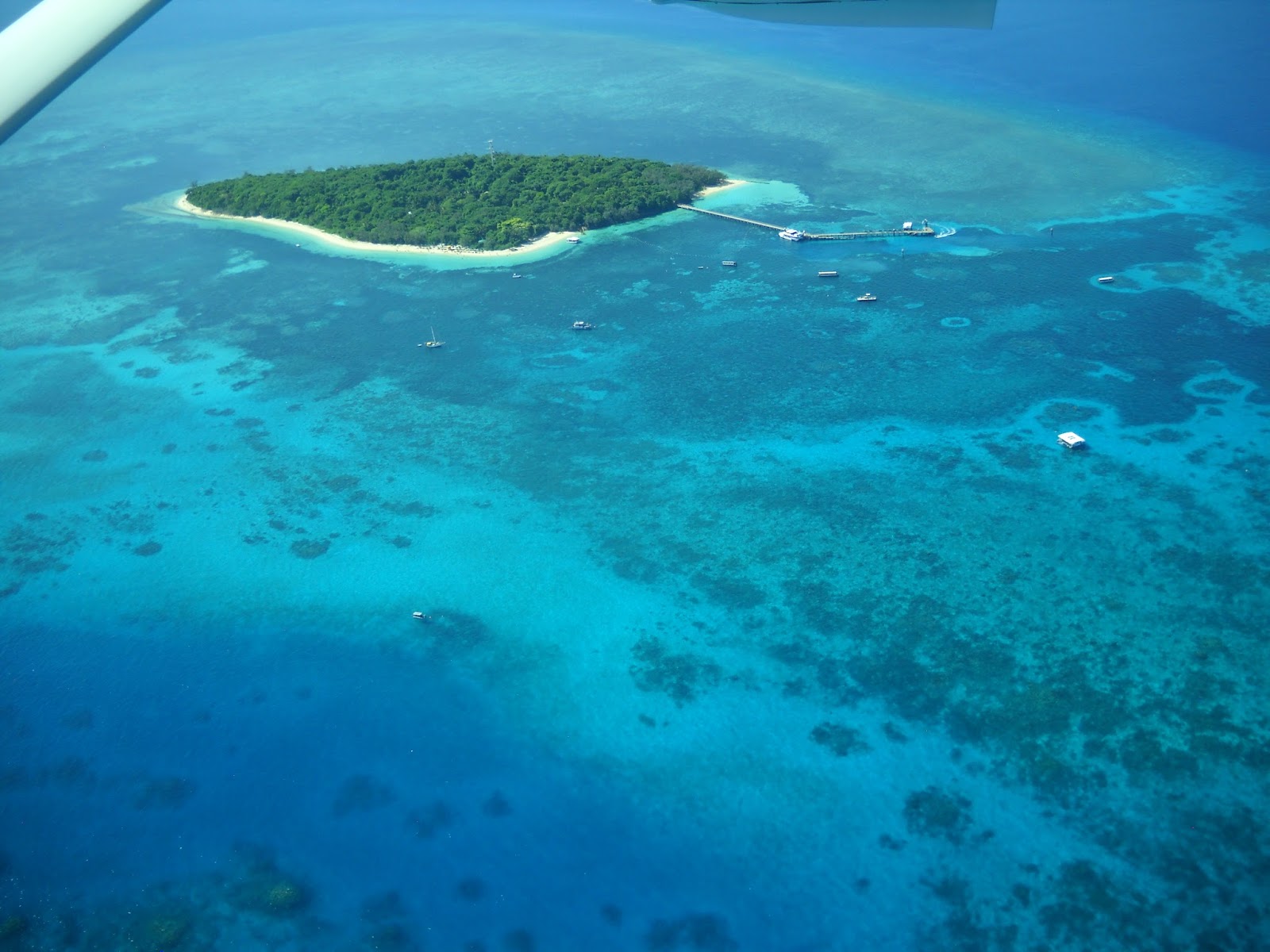Australia 2016: Cairns Australia (Great Barrier Reef)
