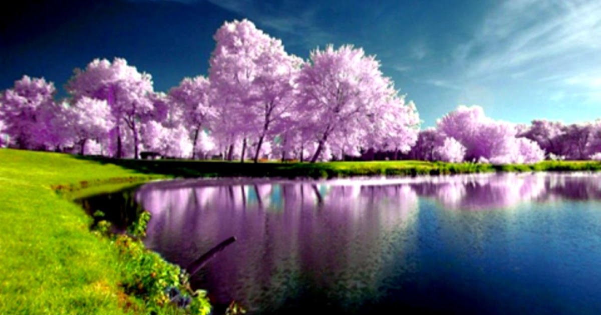 Spring Theme Wallpaper | Free Best Hd Wallpapers