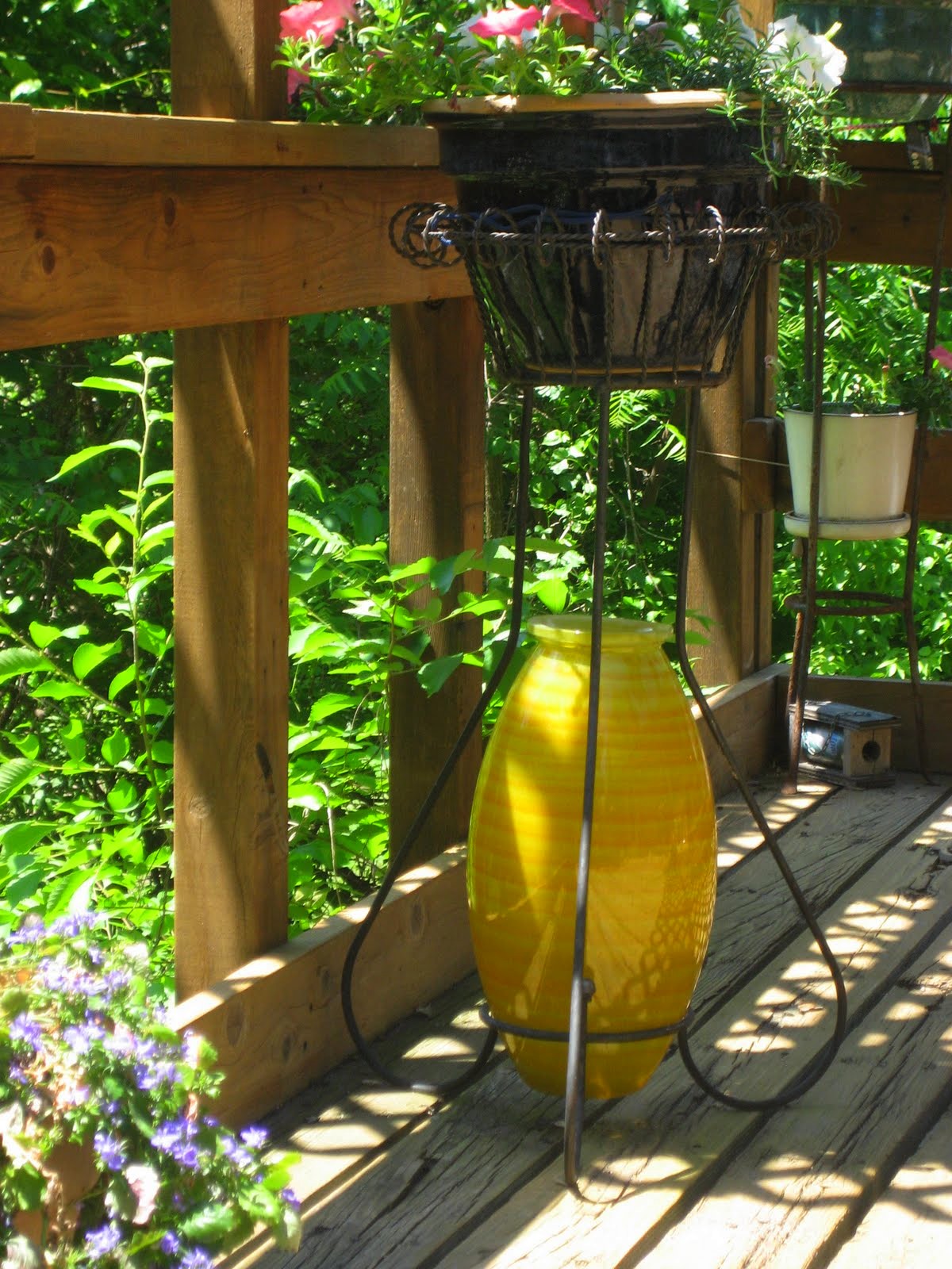 Living Rootless: Appreciation Without Regret