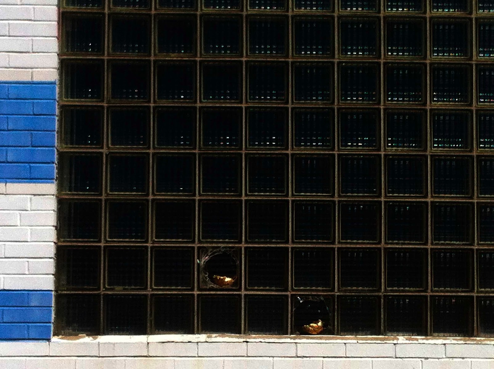 Brian Teasley presents Wonderfully Rotting Vegetables