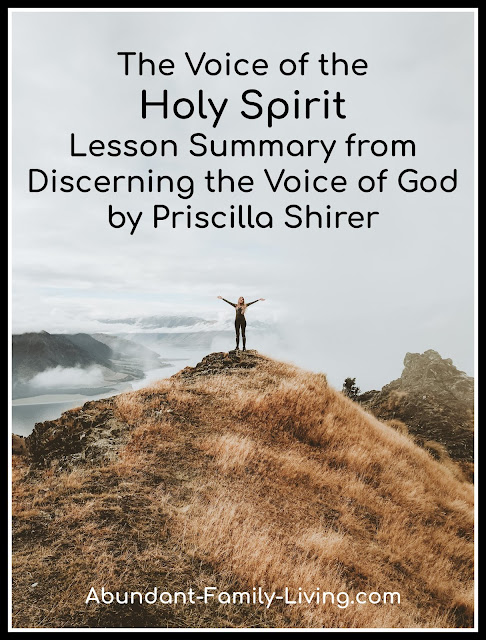 Abundant Family Living: The Voice of the Holy Spirit (from Discerning ...