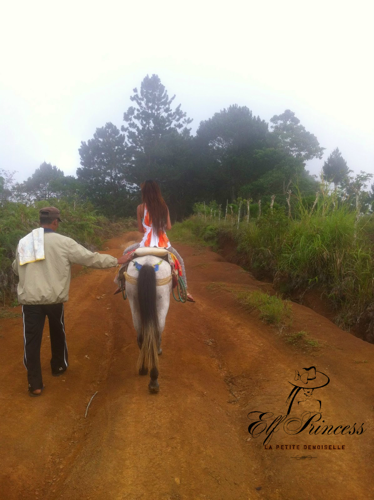 Elf Princess´ Travel Diaries: Zipline @Camp Sabros Mountain Resort