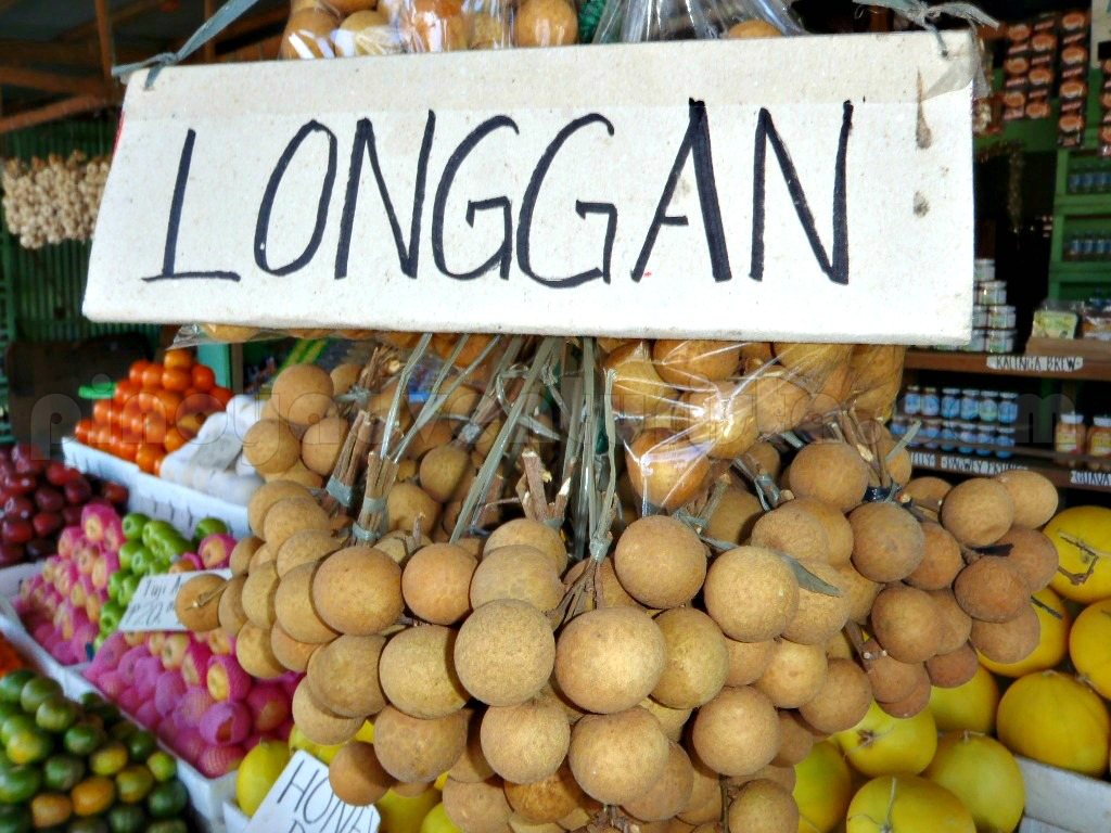 Nueva Vizcaya - The Citrus Capital of the Philippines | Blogs, Travel ...