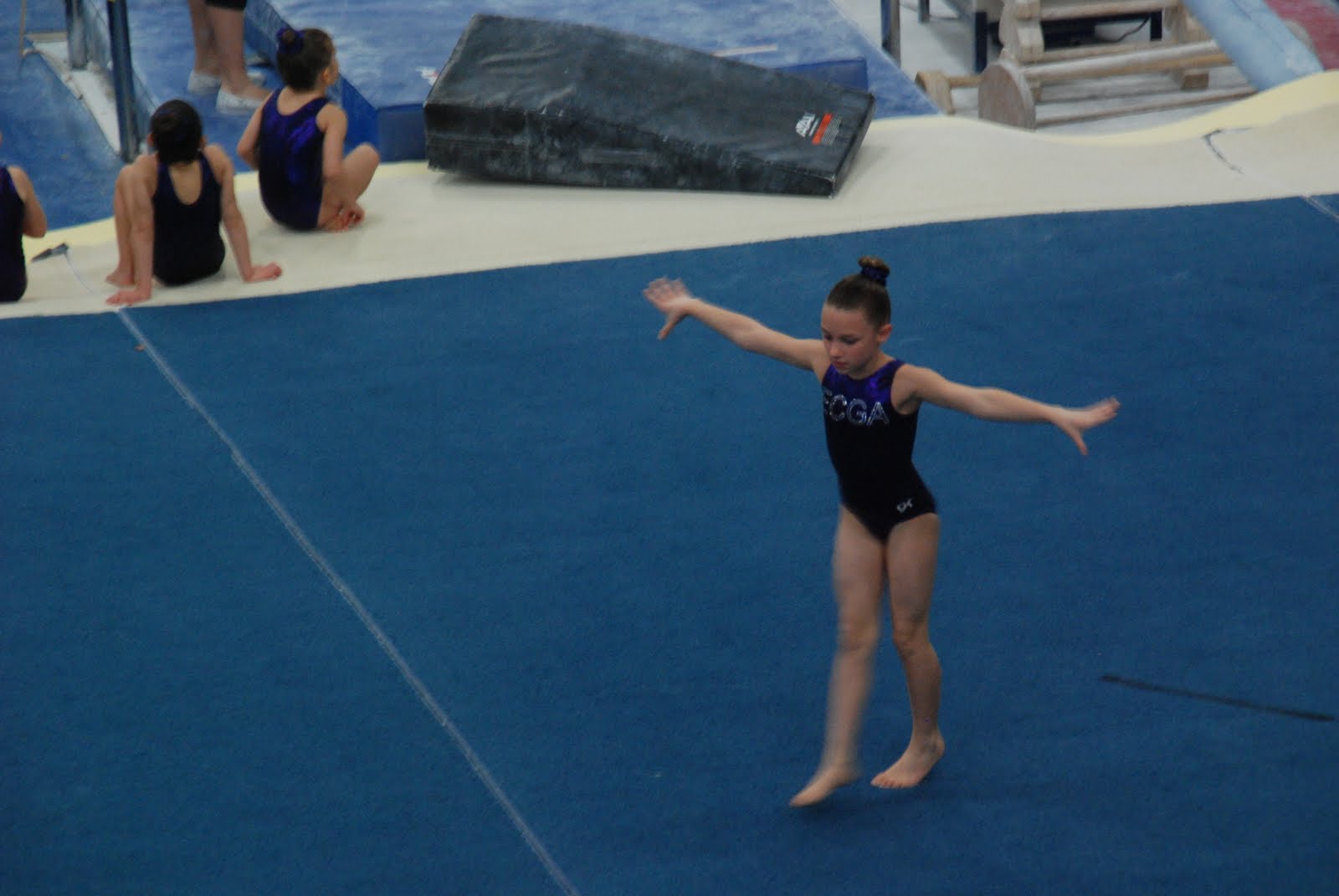 MattWilsonMD . . . .: Ava's Gymnastics
