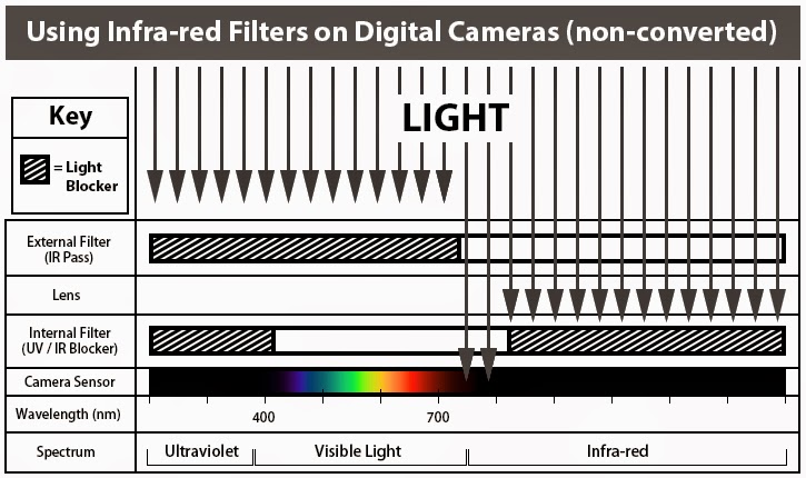 Infra-Edd: Cameras - Sony A7 (converted to Full-Spectrum)