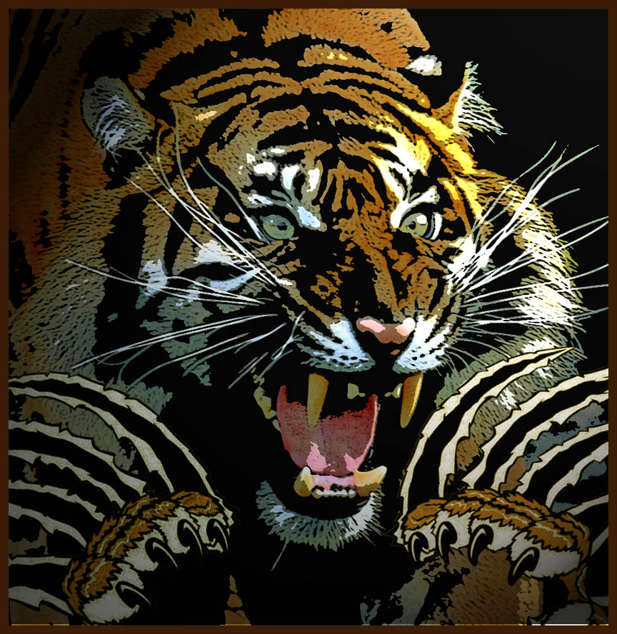 CRB : Catch a Tiger By The Toe