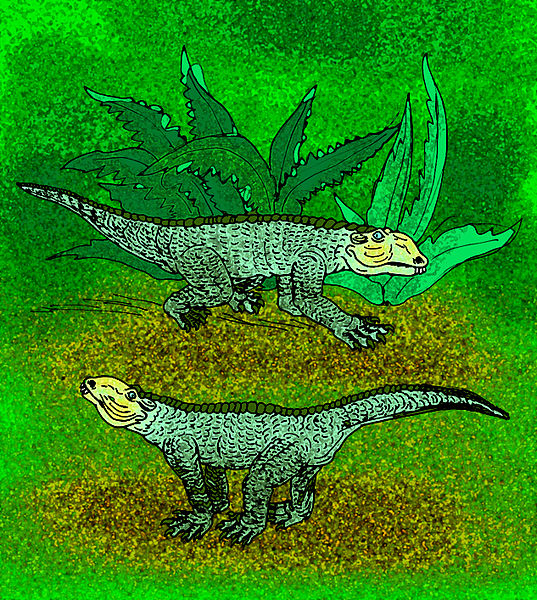 Los animales en la prehistoria: Animales prehistóricos con la letra C