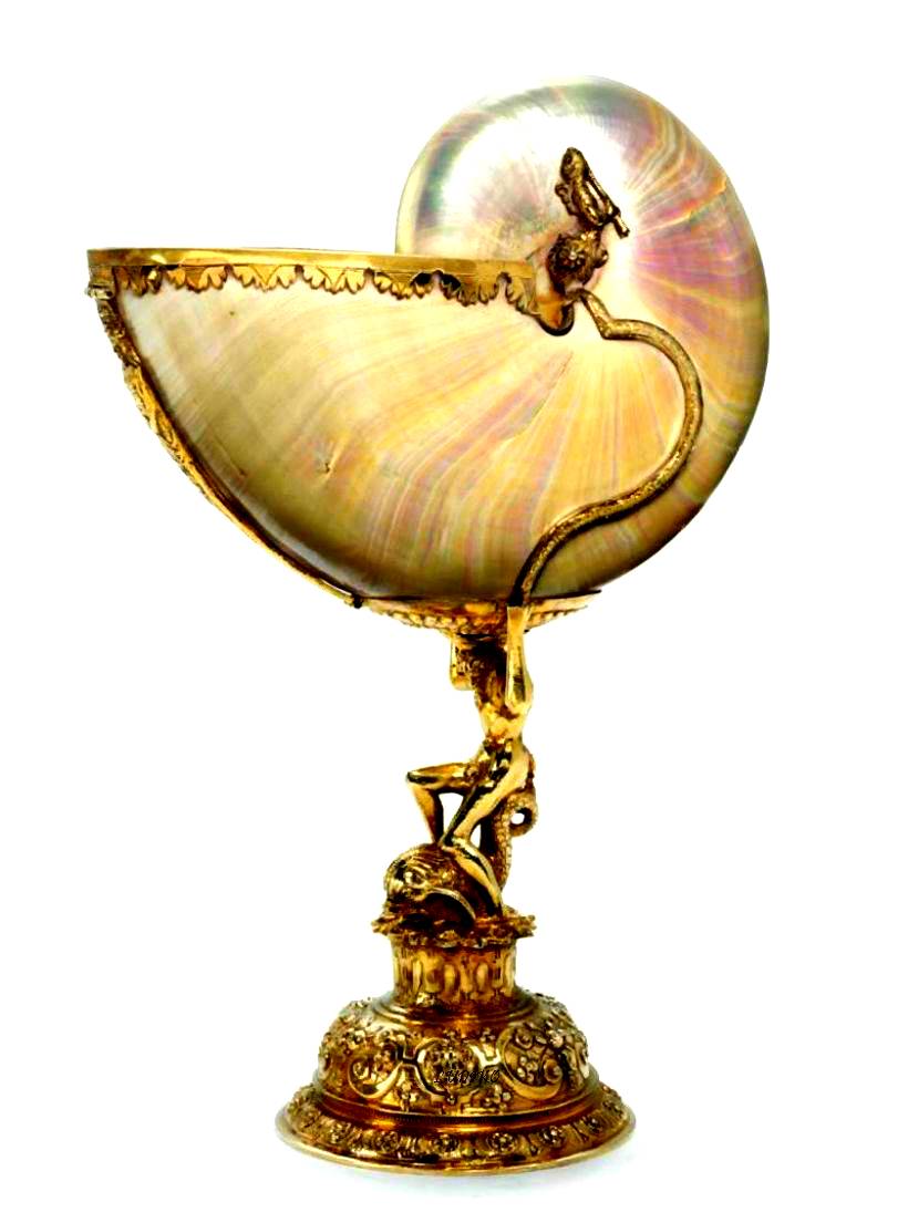 loveisspeed.......: Nautilus shells were popular items in the ...