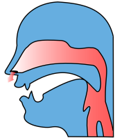 velar nasal