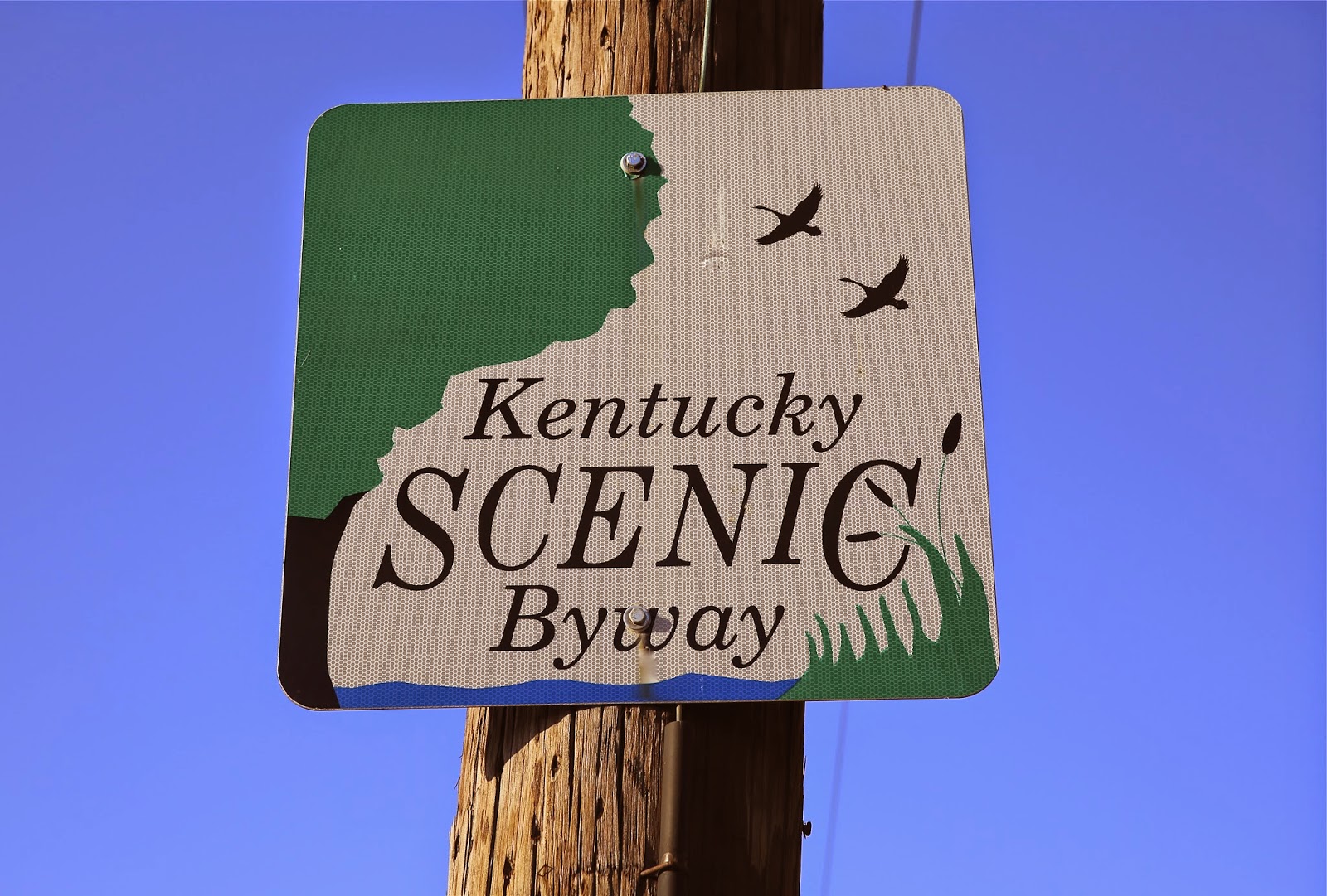 Sweet Southern Days: Scenic Backroads of Rural Kentucky