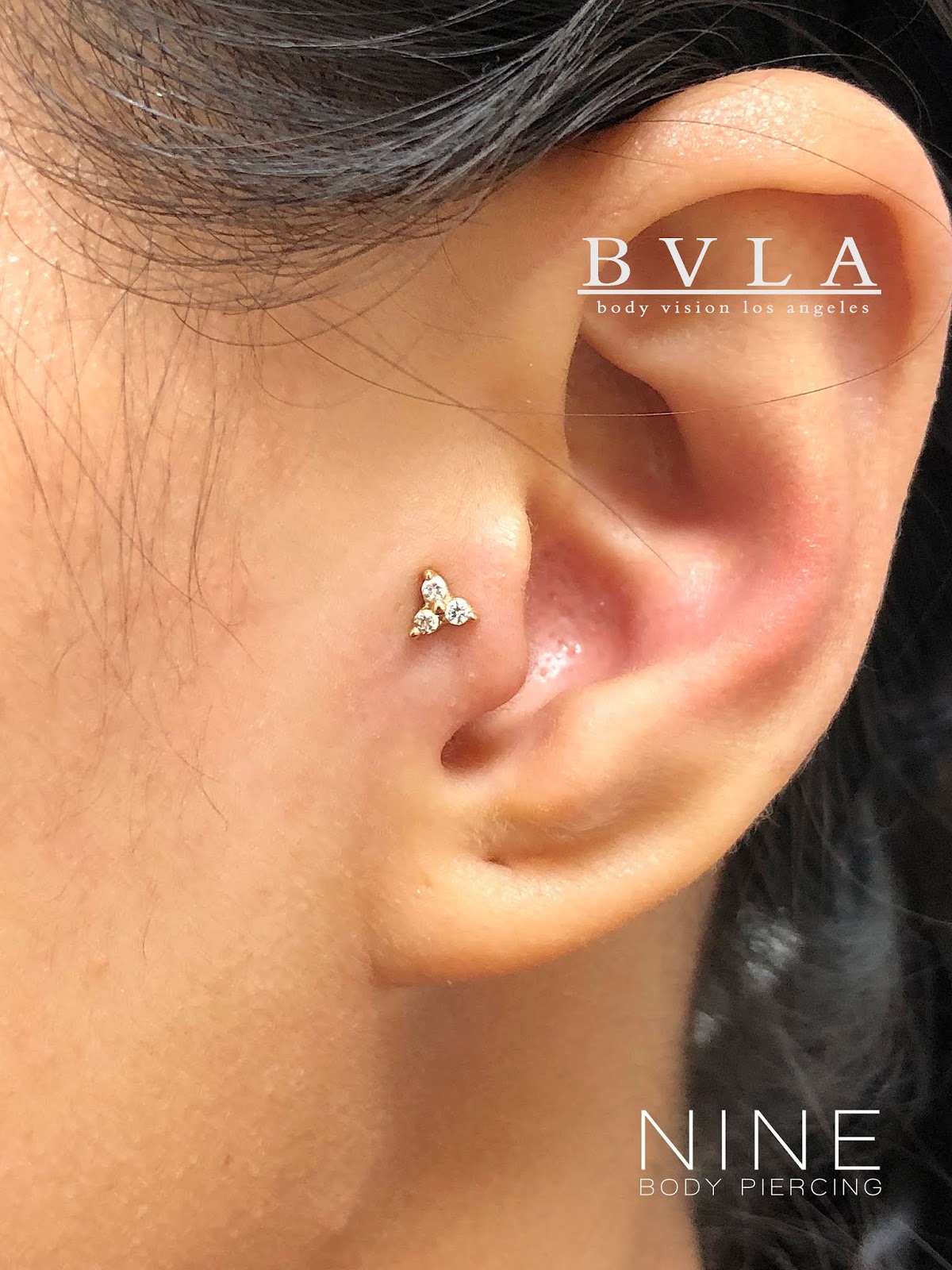 NINE BODY PIERCING BLOG: Tragus with BVLA Yellow Gold 1.5mm Tri Prong ...