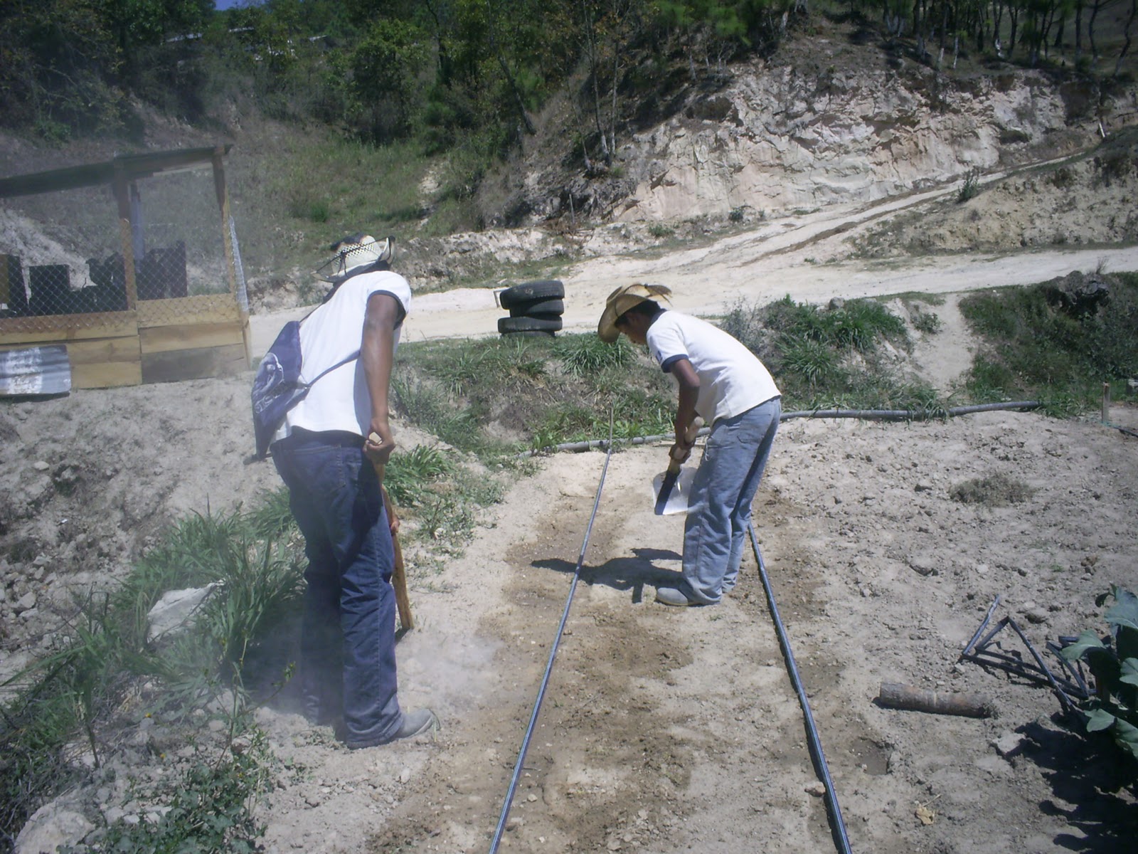 ITAGRO: PERITO AGRÓNOMO