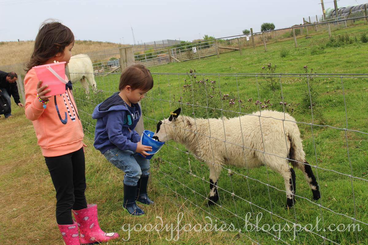 GoodyFoodies: Doonies Farm, Aberdeen, Scotland