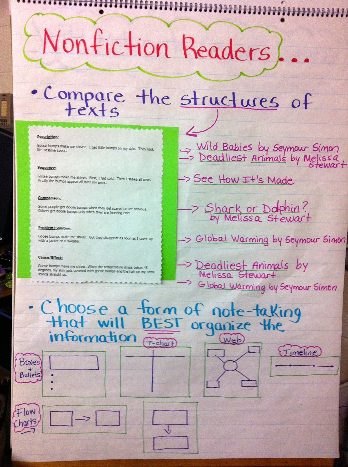 Two Reflective Teachers: Bulletin Boards and Charts
