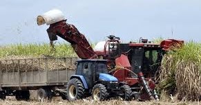 tvsantiagoenlared: Realizarán una mejor zafra azucarera en Santiago de Cuba