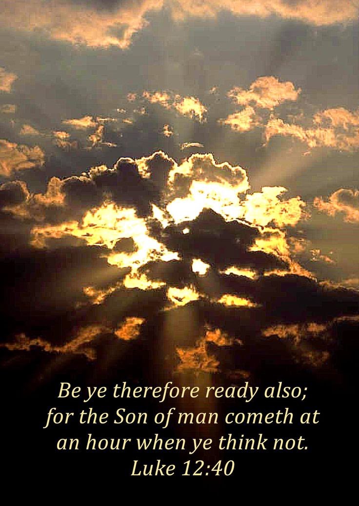 Sip A Bit Of Serenity: He May Come Today!