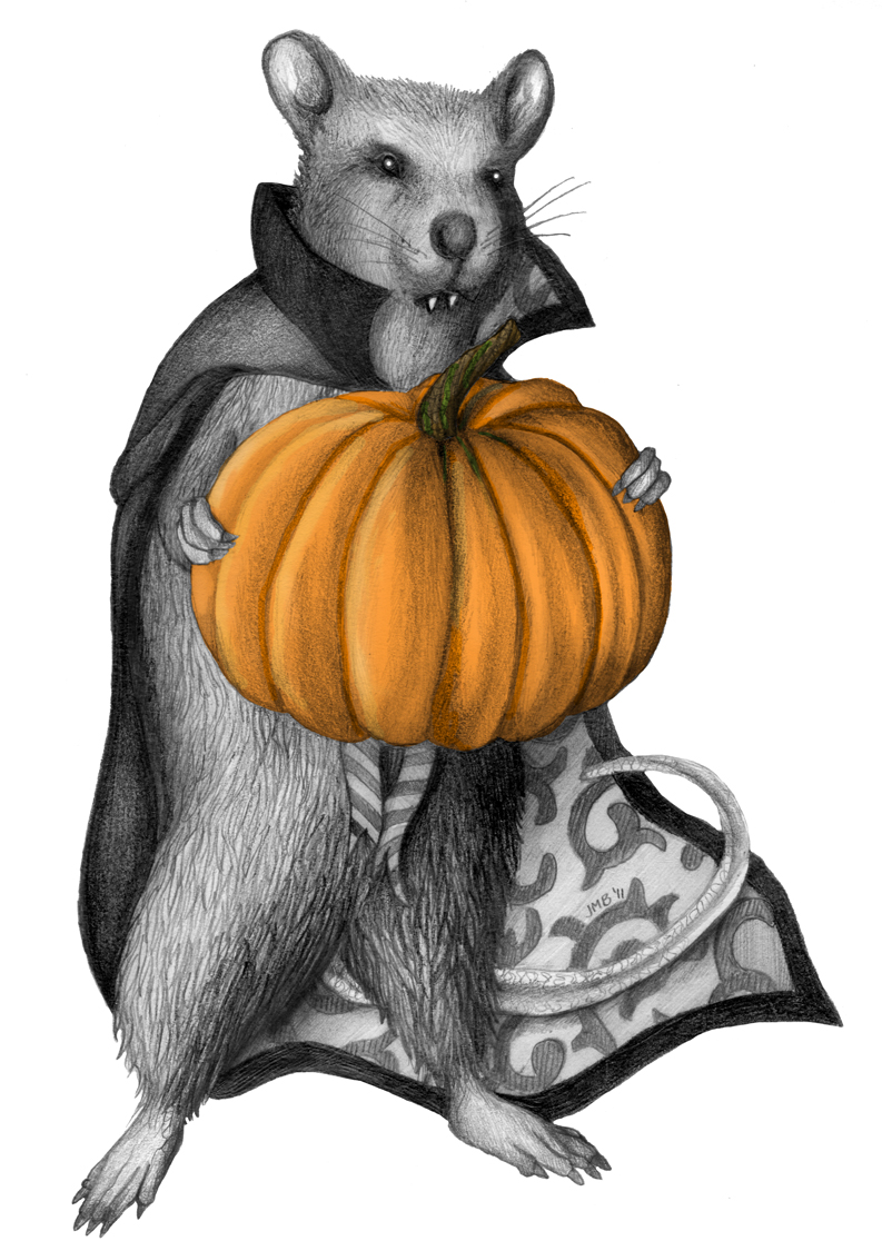 Hans-My-Hedgehog Illustrations: An Ode to the Rats I've Loved