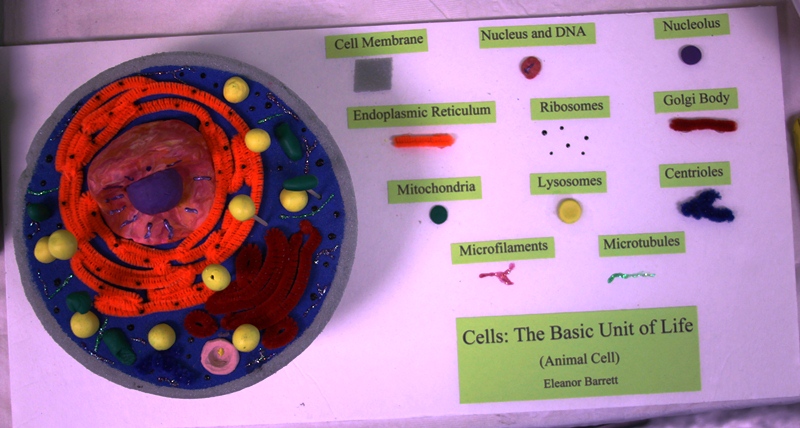 Fulton Science Academy Private School Official Blog: Fulton Science ...