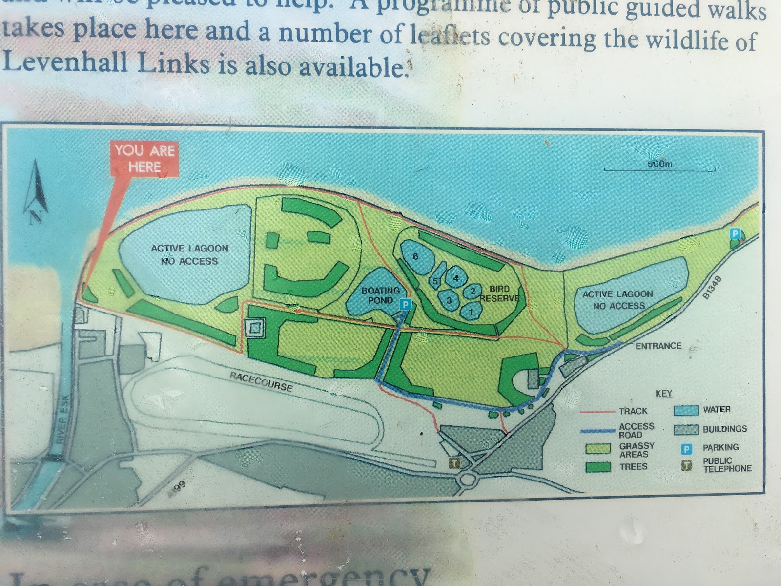 Logan's Nature Blog: The No.26 - Onwards to the Levenhall Links ...