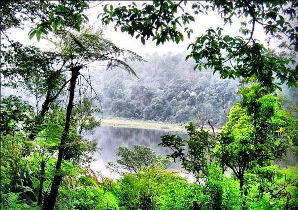 vint zevent: Pesona DANOU CIHARUS